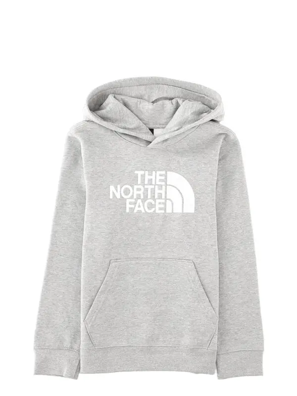The North Face Teen Snowquestjacket Tnf - Grey