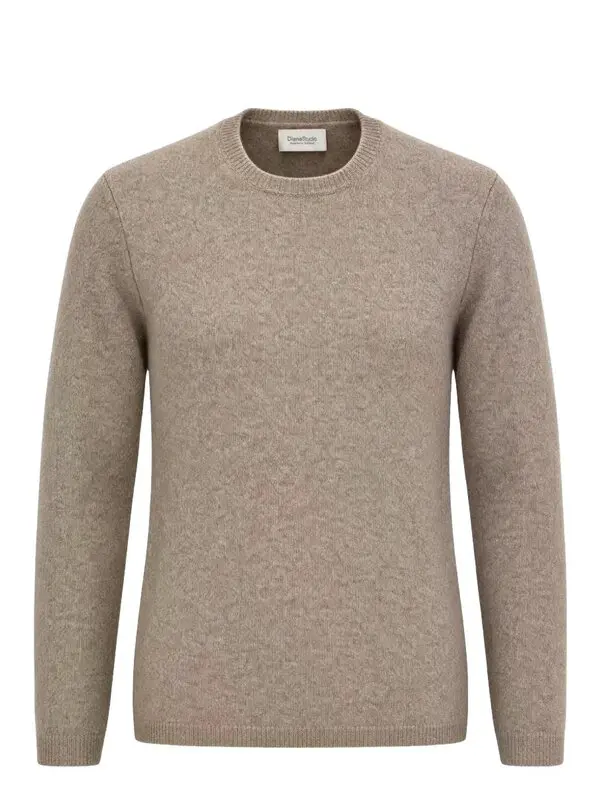 DIANA STUDIO Crew-neck Raglan-sleeve Sweater - Neutrals