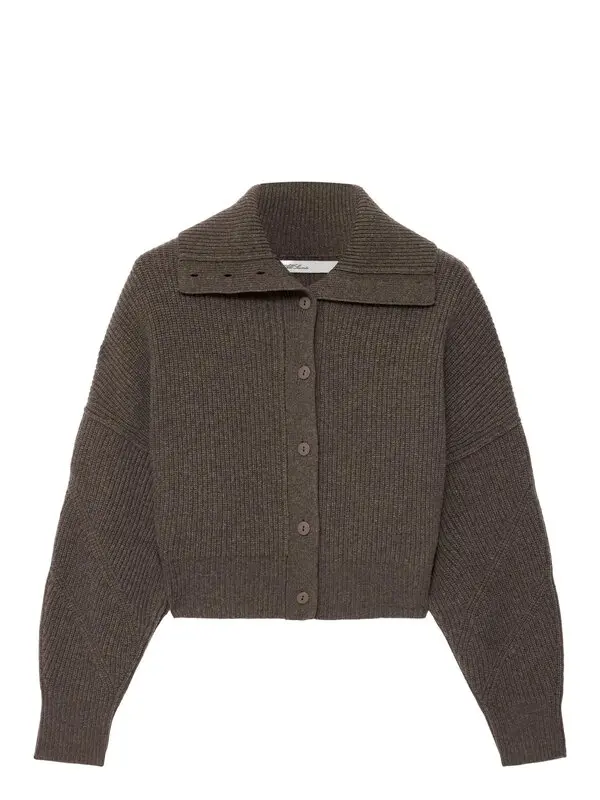 ALLSAINTS Caron Cropped Merino Wool Cardigan - Brown