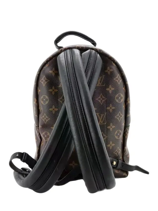 LOUIS VUITTON Palm Springs Monogram Canvas Pm Backpack - Brown