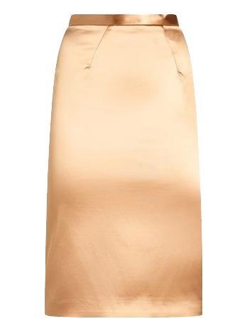 Elisabetta Franchi Midi Skirt Blush Size Acetate, Polyamide, Elastane - Sand