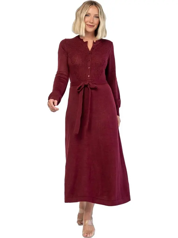 BLUE BLUSH Camilla Sweater Dress - Wine