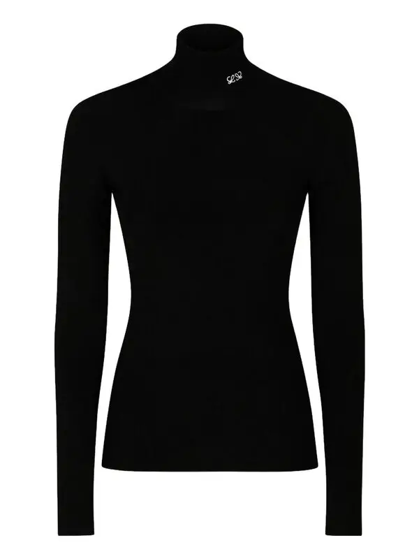 Loewe Knitwear - Multicolor