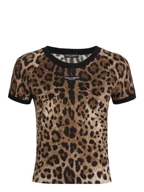 Dolce & Gabbana Dolce Gabbana Animal-print Logo T-shirt - Multicolor