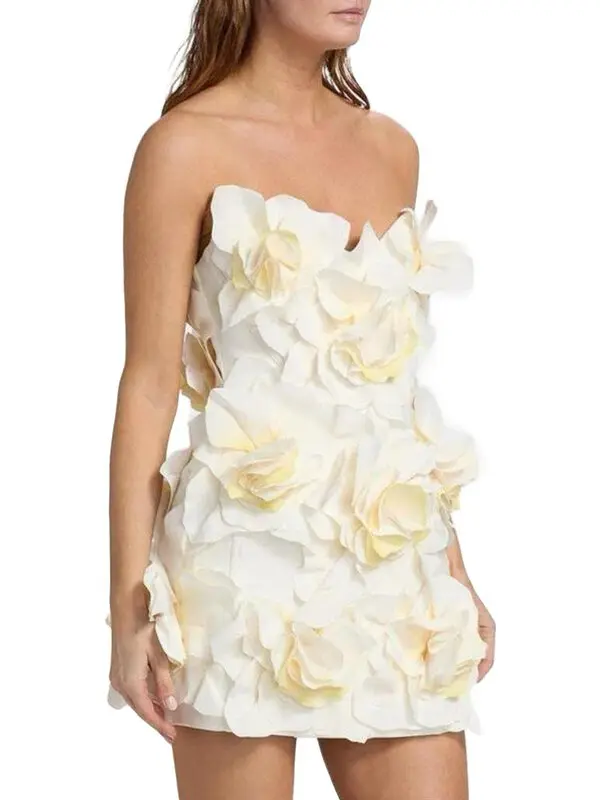 Acler Jackhill 3d Floral Minidress - Ivory