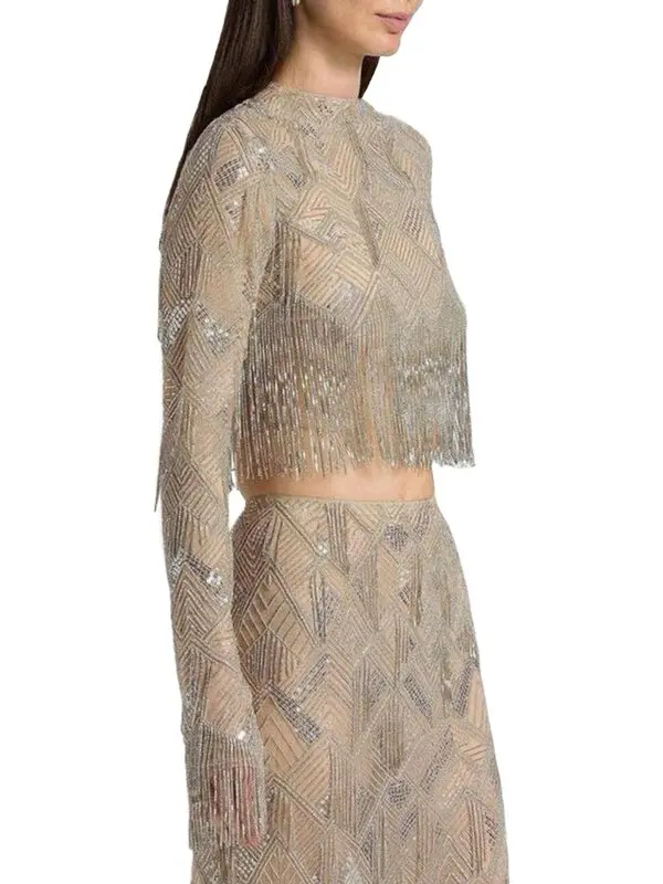 Lapointe Geometric Crystal Fringe Crop Top - Silver