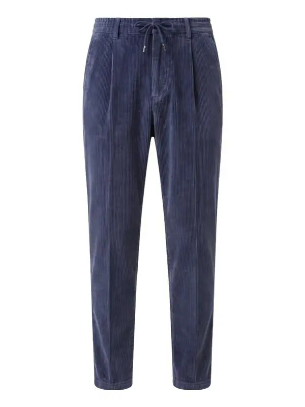 Peserico Pleated Casual Trousers - Blue