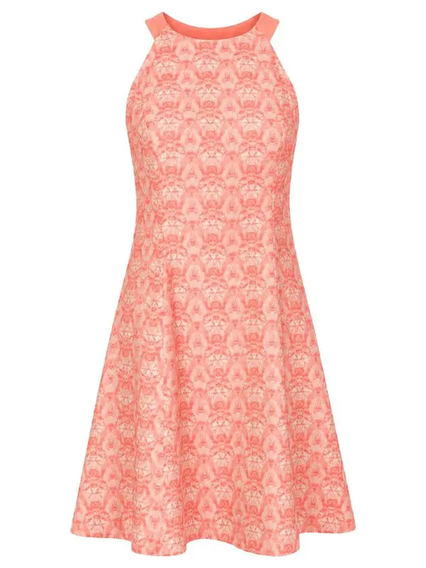 CONQUISTA Coral Lace Fit & Flare Dress - Orange
