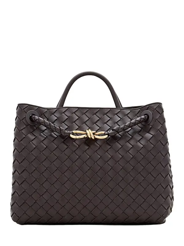 Bottega Veneta Andiamo Medium Bag - Multicolor