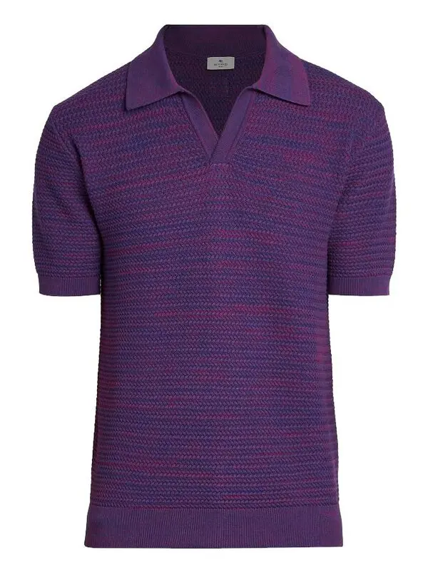 Etro Roma Knit Polo Shirt - Viola