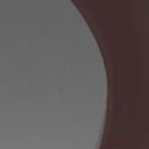 Cartier Panthère De Sunglasses - Red