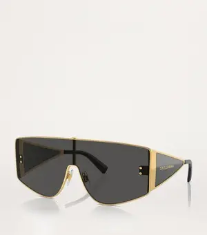 Dolce & Gabbana Acetate Dg2305 Sunglasses