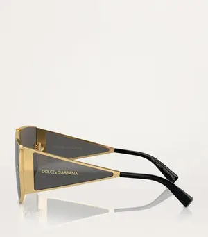 Dolce & Gabbana Acetate Dg2305 Sunglasses