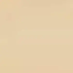 Gucci Acetate Gg1593s Sunglasses - Gold