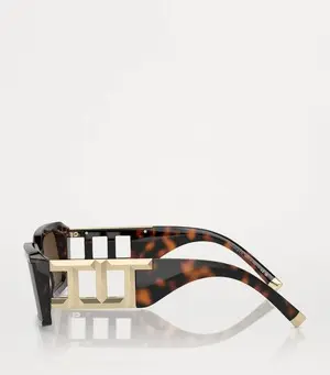 Tiffany & Co. Acetate Tf4197 Sunglasses