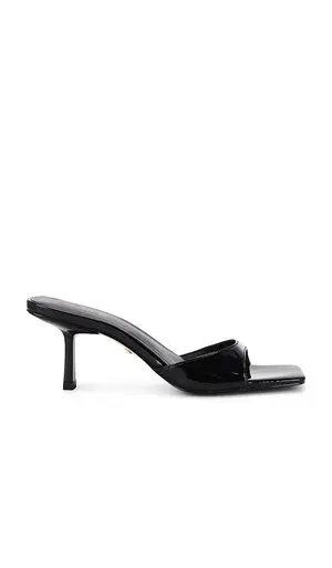 Raye Jocey Mule