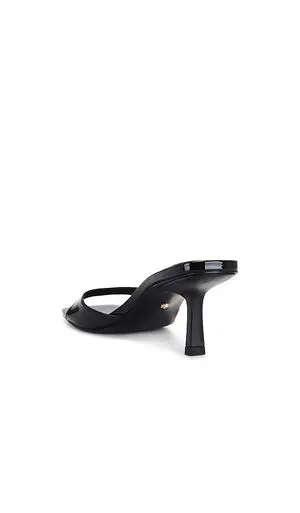 Raye Jocey Mule
