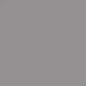 Balenciaga Acetate Sunglasses - Grey
