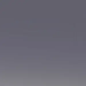 Celine Acetate Sunglasses