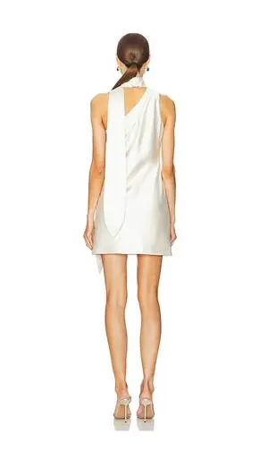 Line & Dot Gloss Scarf Mini Dress