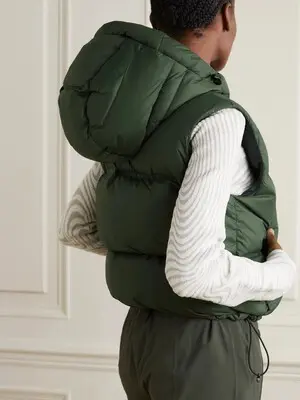 Aztech Mountain Snowbird Hooded Quilted Down Gilet