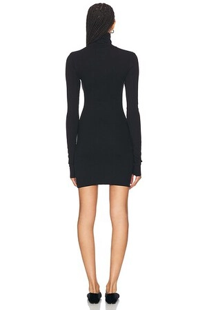 Eterne Long Sleeve Turtleneck Mini Dress - Black
