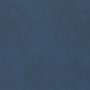 LIND DNA Curve Coaster - Blue