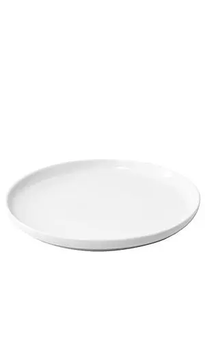 PUBLIC GOODS Ceramic Dinner Plate Set Of 4