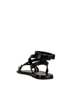 Alaïa Flat Ankle Strap Sandals With Gold-tone Hardware