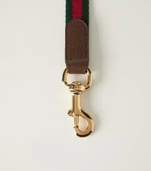 Gucci Web Stripe L Dog Leash