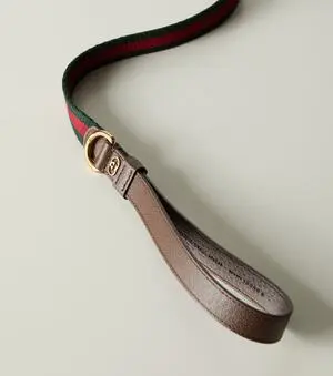 Gucci Web Stripe S/m Dog Leash - Multicoloured