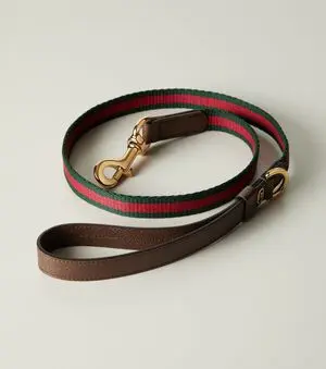 Gucci Web Stripe S/m Dog Leash - Multicoloured