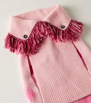 Alanui X Poldo Dog Couture Dog Sweater