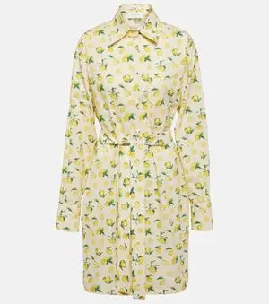 Sportmax Boero Printed Cotton Shirt Dress - Multicoloured