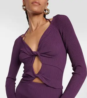 Altuzarra Fotia Cutout Jersey Gown