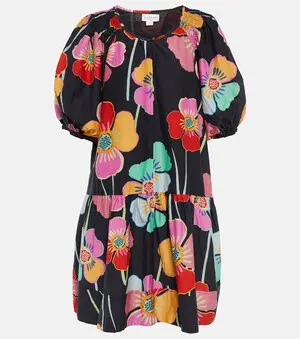 Velvet By Graham & Spencer Floral Day Dresses