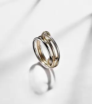 SPINELLI KILCOLLIN Solarium Linked Rings In 18kt Yellow Gold And Sterling