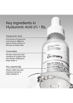 THE ORDINARY The Skin Support