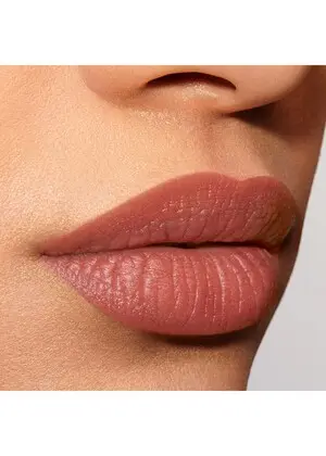 Estée Lauder Pure Color Explicit Silk Matte Lipstick - Static