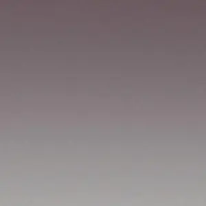 Burberry Icon Stripe Cat Eye Sunglasses