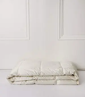 BRINKHAUS Arctic Duck Down Duvet - Ivory