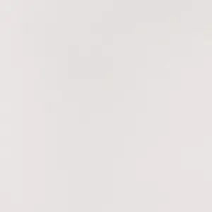 Spanx Satin Shaping Briefs Light Control