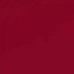 Dior Vernis Gel Nail Polish - Burgundy