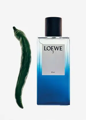 Loewe Elixir