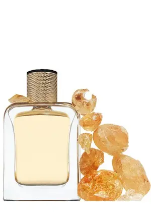 VERONIQUE GABAI Eau De La Eau De Parfum