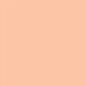 WESTMAN ATELIER Vital Skin Foundation Stick - Beige