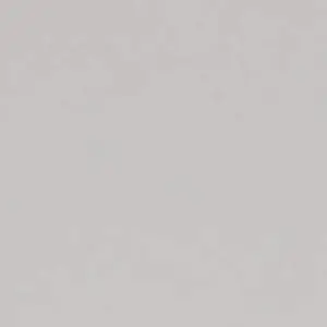 RIVIERE Leather-trim Lacquered Tray - Grey