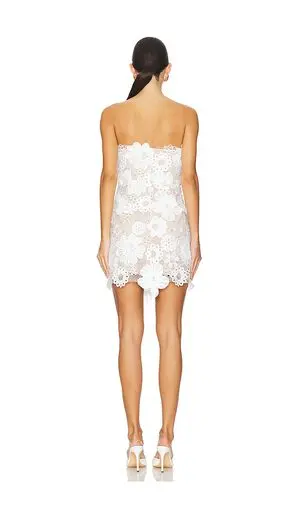 ELLIATT Autumn Mini Dress In . Also