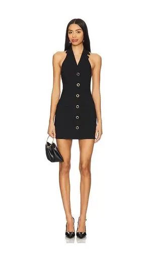 STONE COLD FOX X Revolve Luca Mini Dress