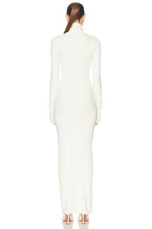 Eterne Long Sleeve Turtleneck Maxi Dress